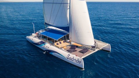 Day charter catamaran versus cruising catamaran - Ocean Voyager
